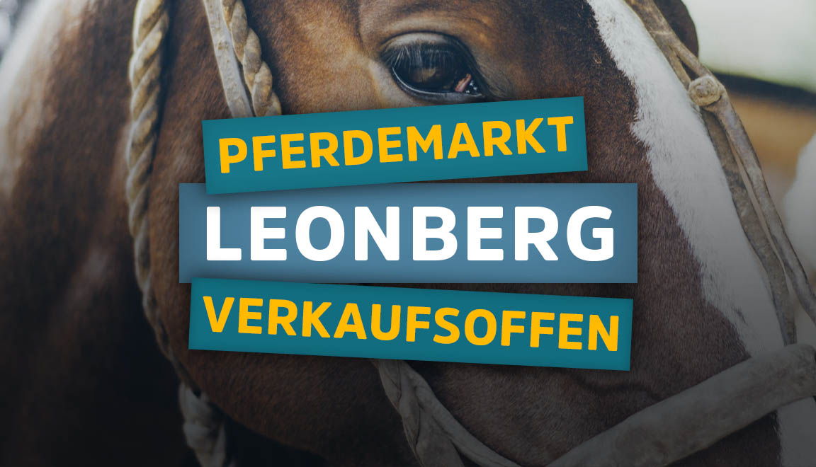 Leonberg » 09.02.25 » Pferdemarkt & verkaufsoffener Sonntag